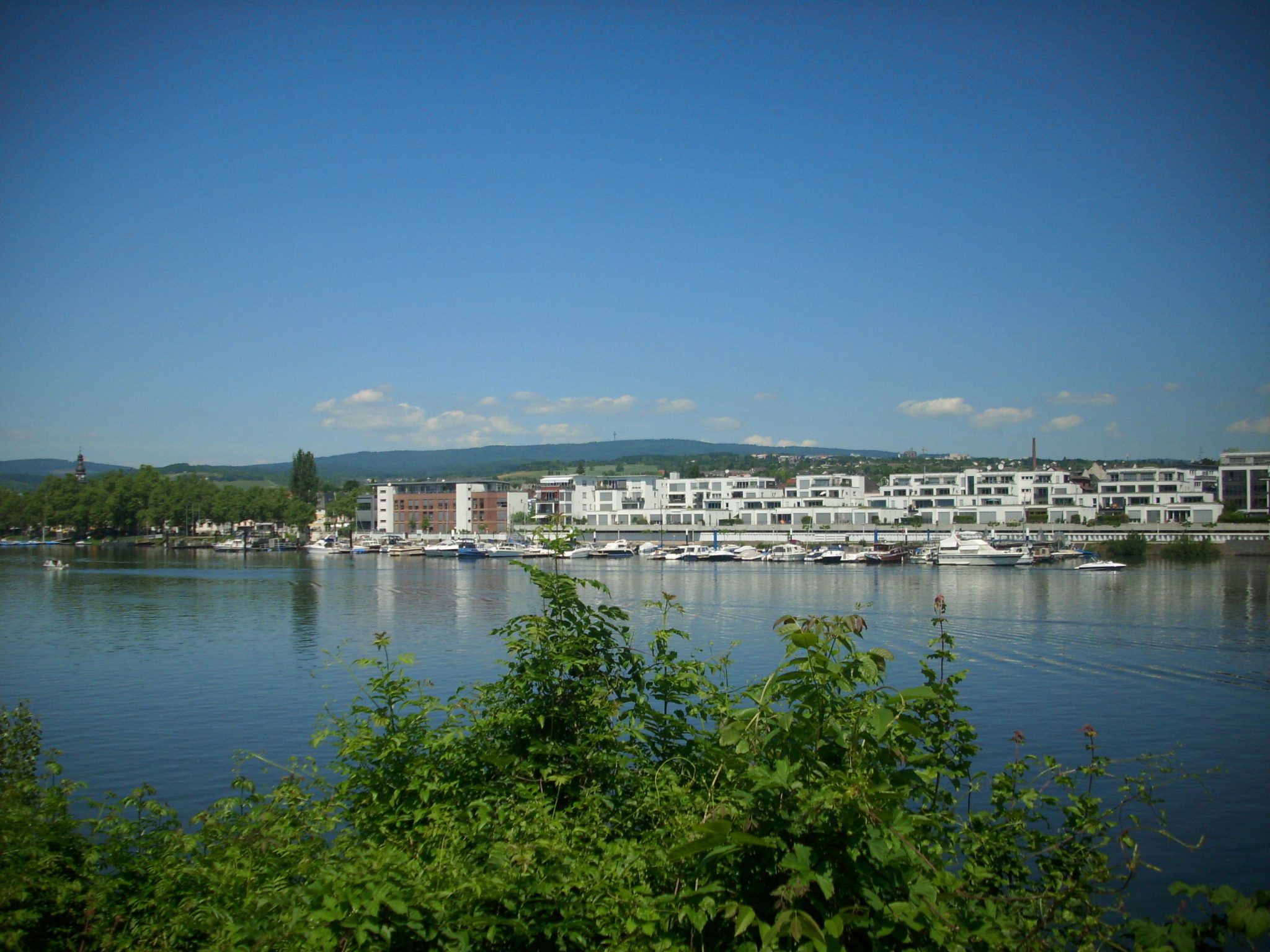 Wiesbaden-Schierstein – Verschönerungsverein Schierstein e.V.